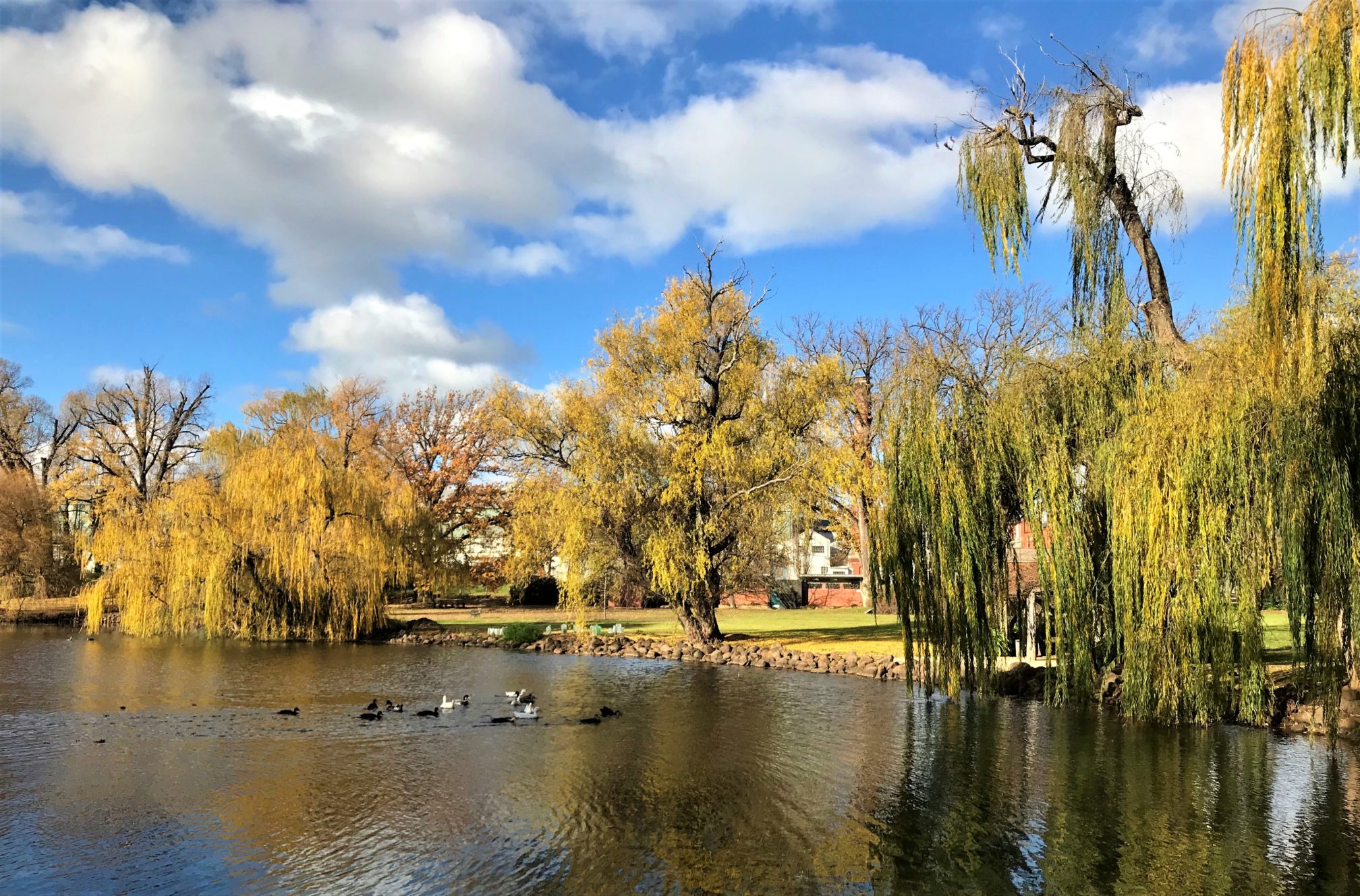 What to do around Bendigo - Jenny's Travels